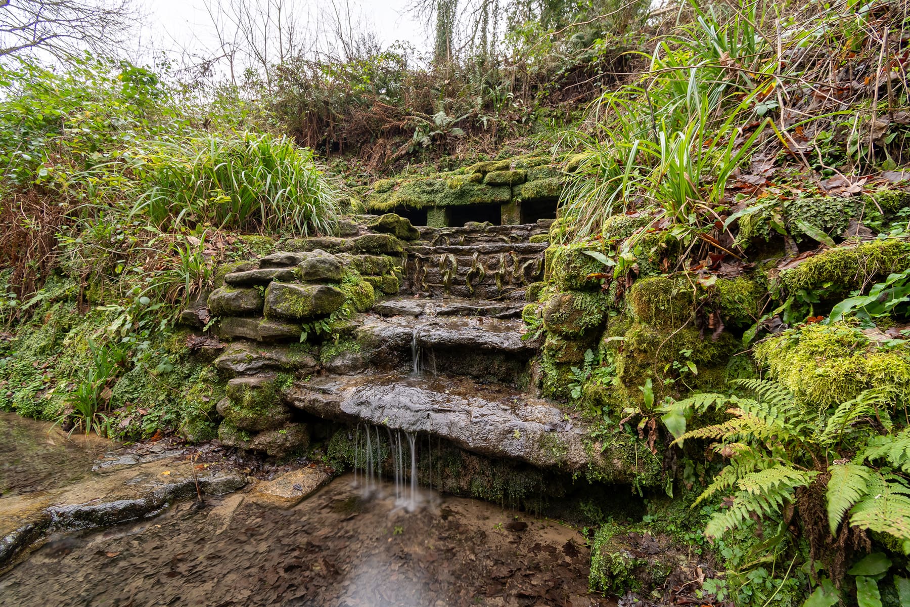 Yeovil Country Park - The Family Parks Group