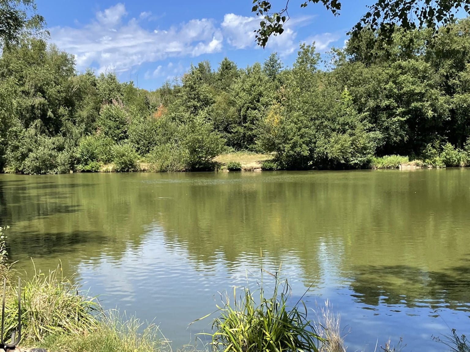 Wylands Farm | Camping | Fishing Lake
