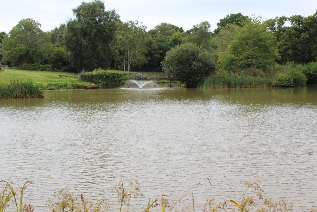 Wylands Farm | Camping | Fishing Lake