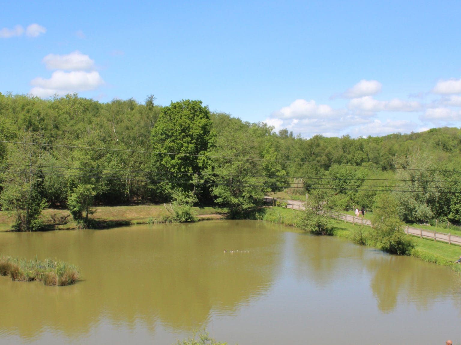 Wylands Farm | Camping | Fishing Lake