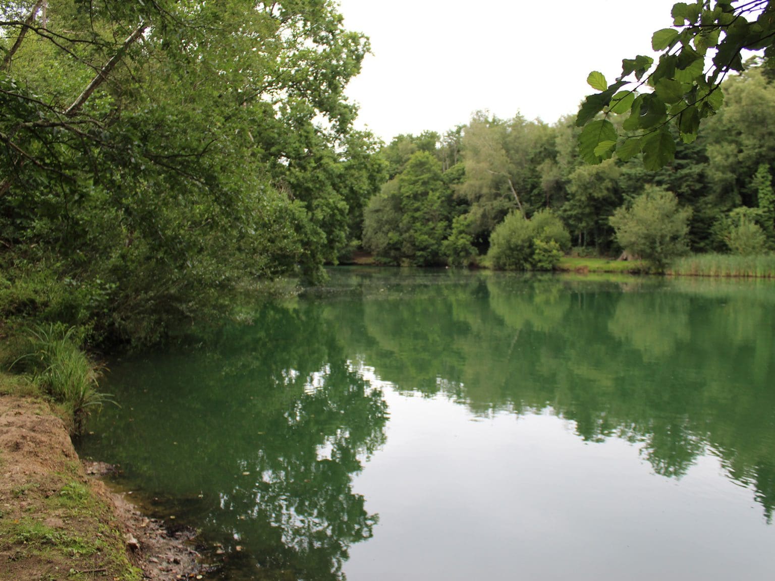 Wylands Farm | Camping | Fishing Lake