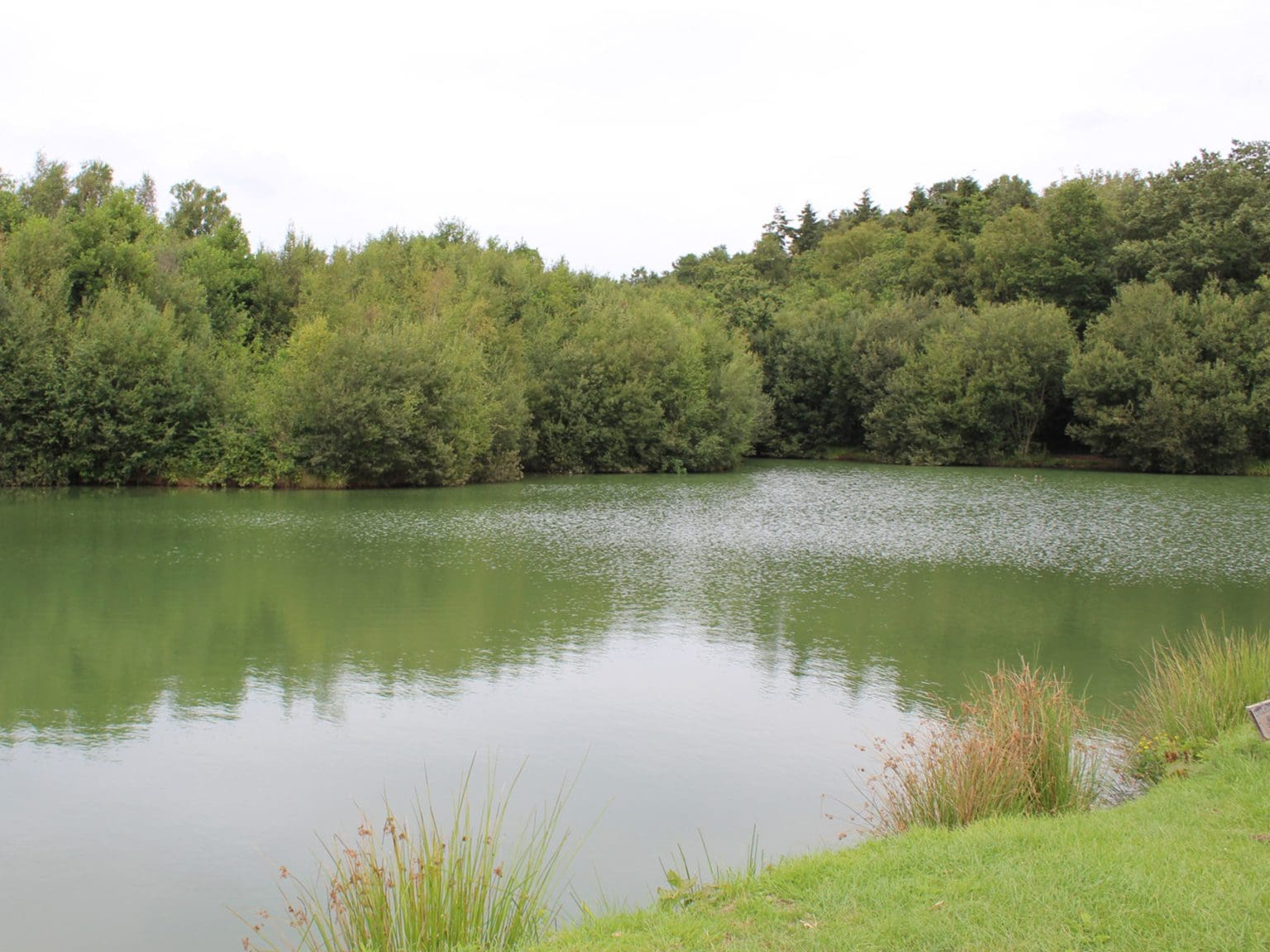Wylands Farm | Camping | Fishing Lake