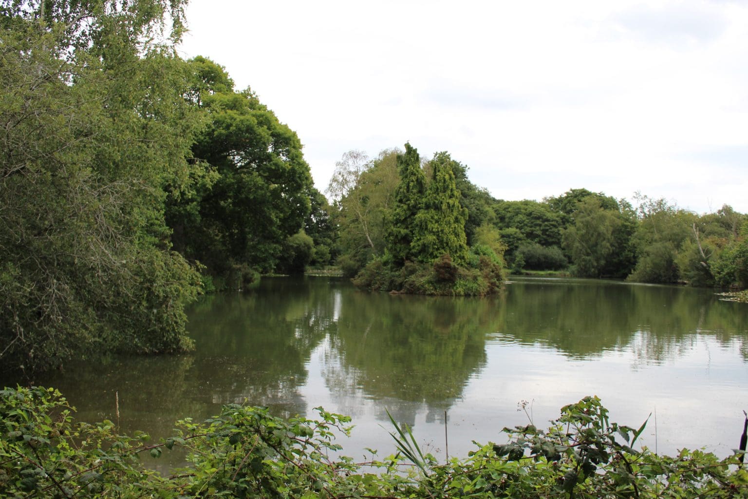 Wylands Farm | Camping | Fishing Lake